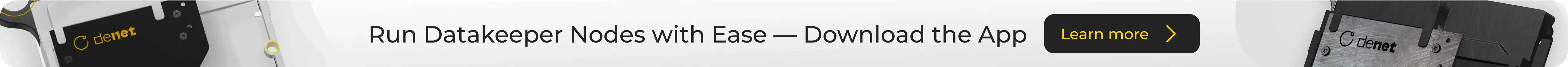 DeNet - DePIN Storage Layer